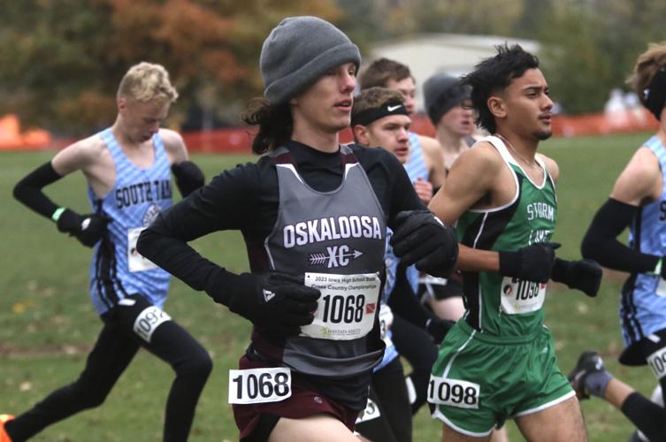 Lady Dutch repeat as state champs as Pella sweeps individual titles ...