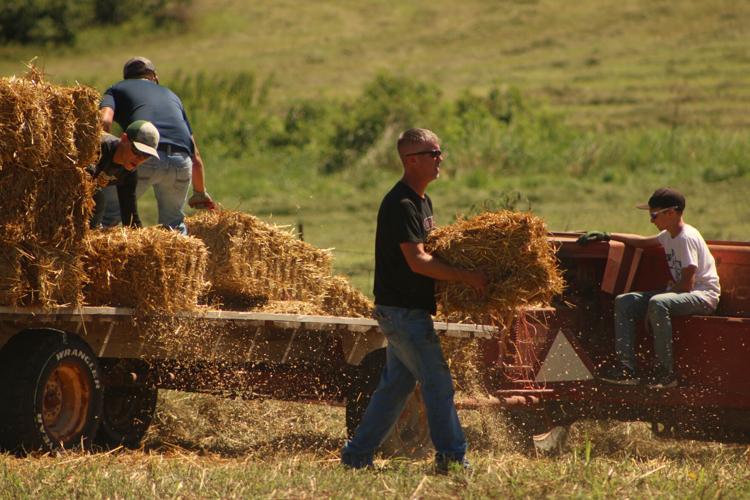 Local group demonstrates vintage oats threshing | Local News ...