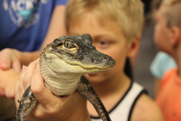 Blank Park Zoo brings animals to Pella kids | Pella | oskaloosa.com