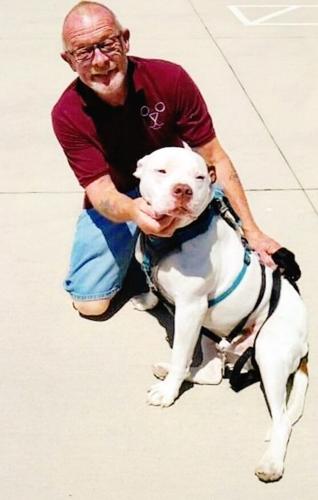 Mahaska County's 'Dog Whisperer' retires | Local News | oskaloosa.com