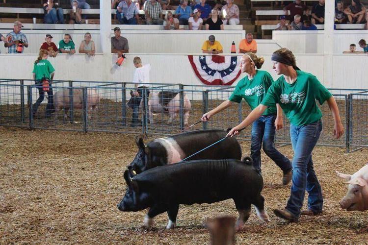 Get ready for the Southern Iowa Fair | Local News | oskaloosa.com