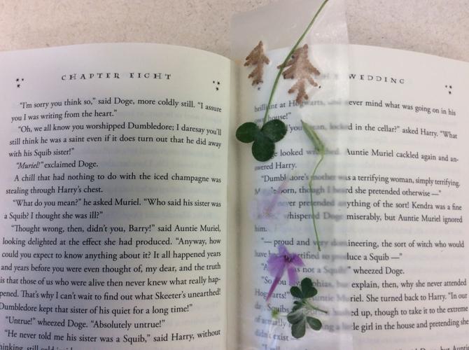 Pella Public Library introduces Nature Walk Bracelets for residents ...