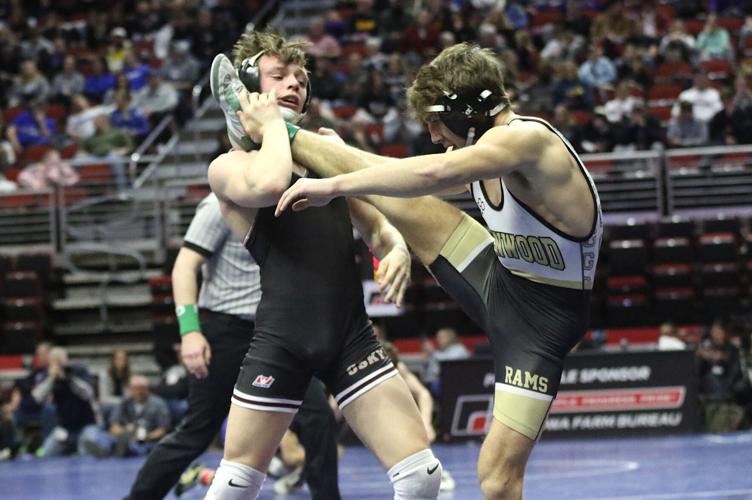Osky’s Parker sixth, Pella’s Van Kley takes fourth at state wrestling ...