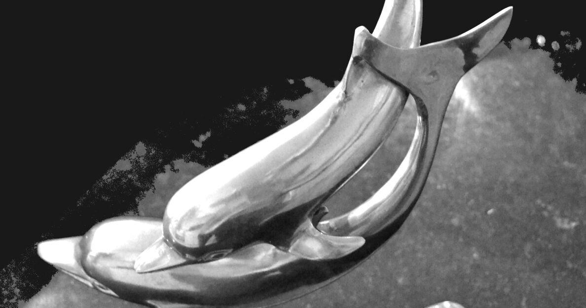 It has a story: Dolphins of hope | Columns | oskaloosa.com