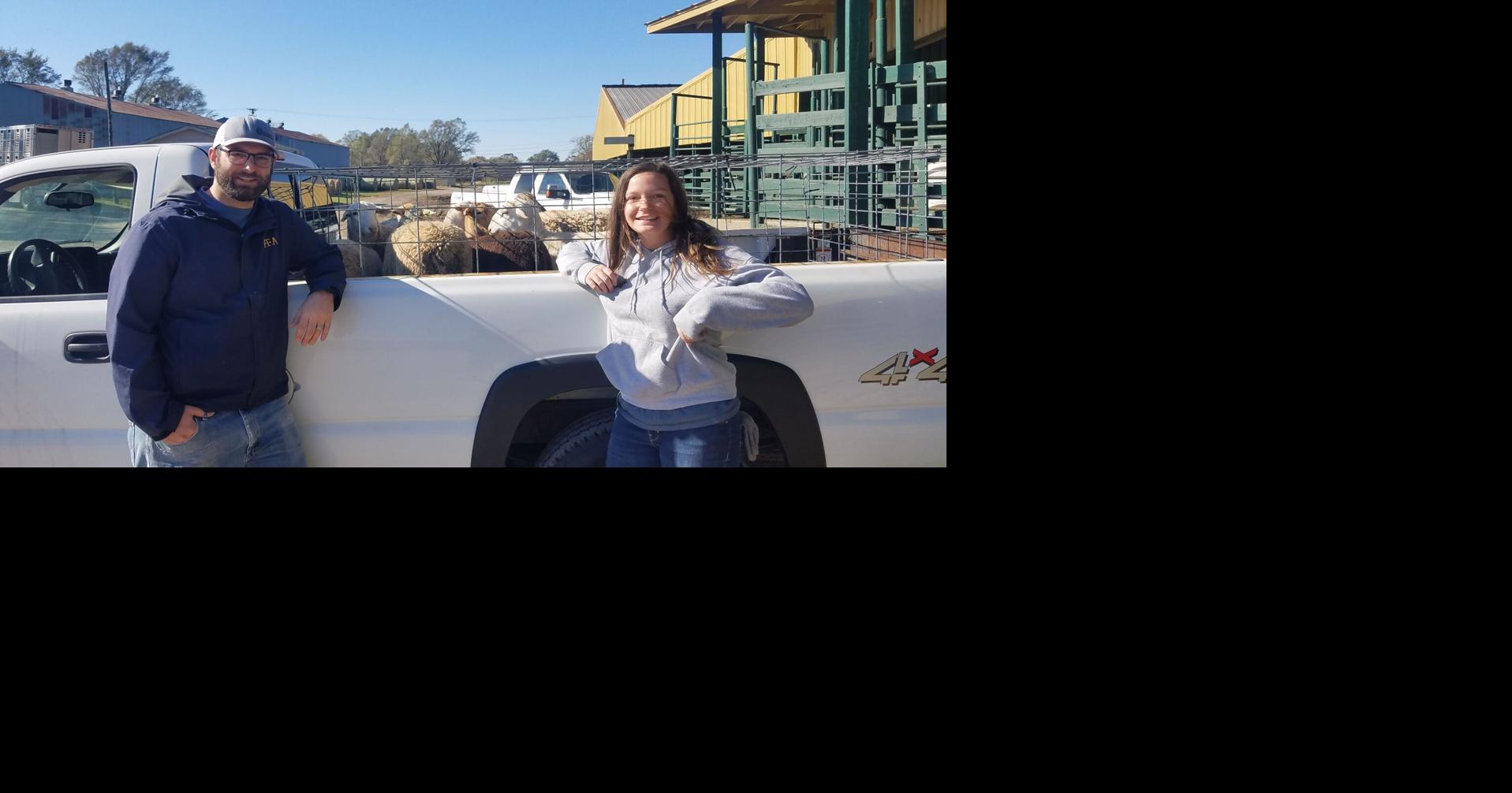 Pella Ag/FFA program starts own sheep farm | Local News | oskaloosa.com