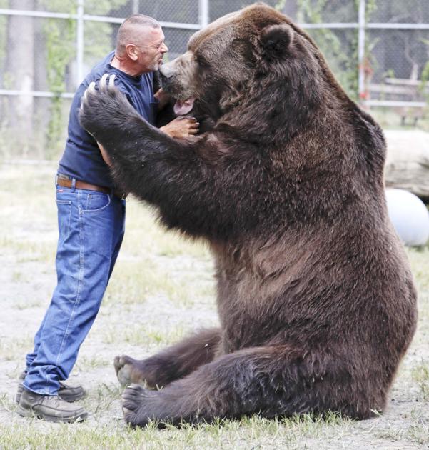 Bear with him: Man grabs attention for hugging big bears | News ...