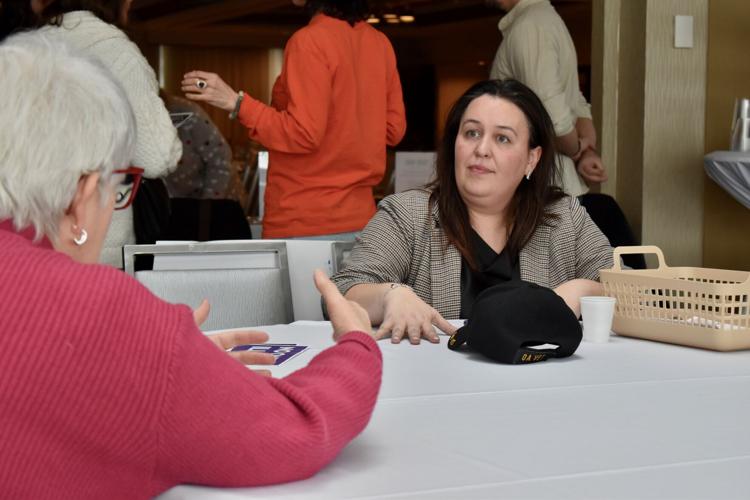 Alissa Ellman wins Democratic congressional primary, will face Tenney ...