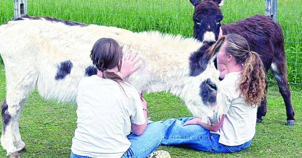 Brayhope Farm to launch Disability Accessibility Project | News ...
