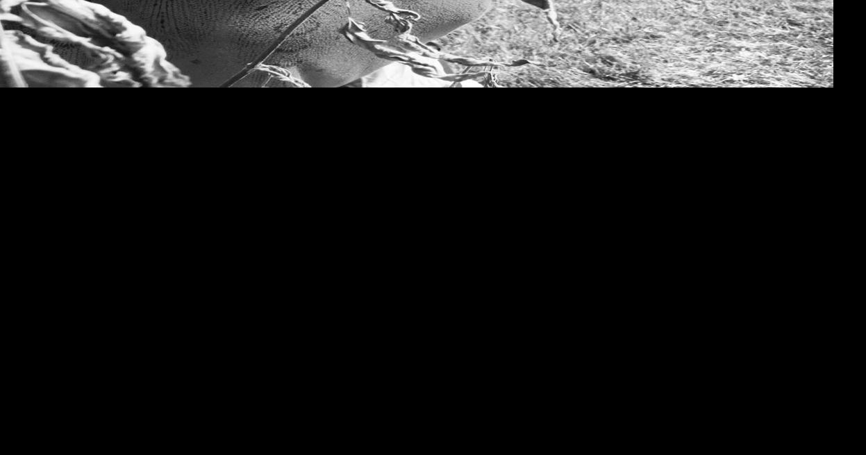 Martha Ellen Sheehan | Obituaries | oswegocountynewsnow.com