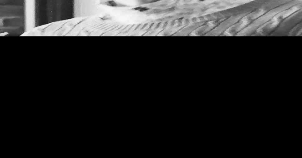 Beatrice Jane Dyer | Obituaries | oswegocountynewsnow.com