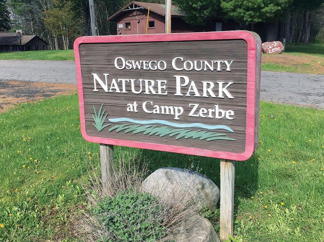 County shifts planned disc golf course to Camp Zerbe | News ...