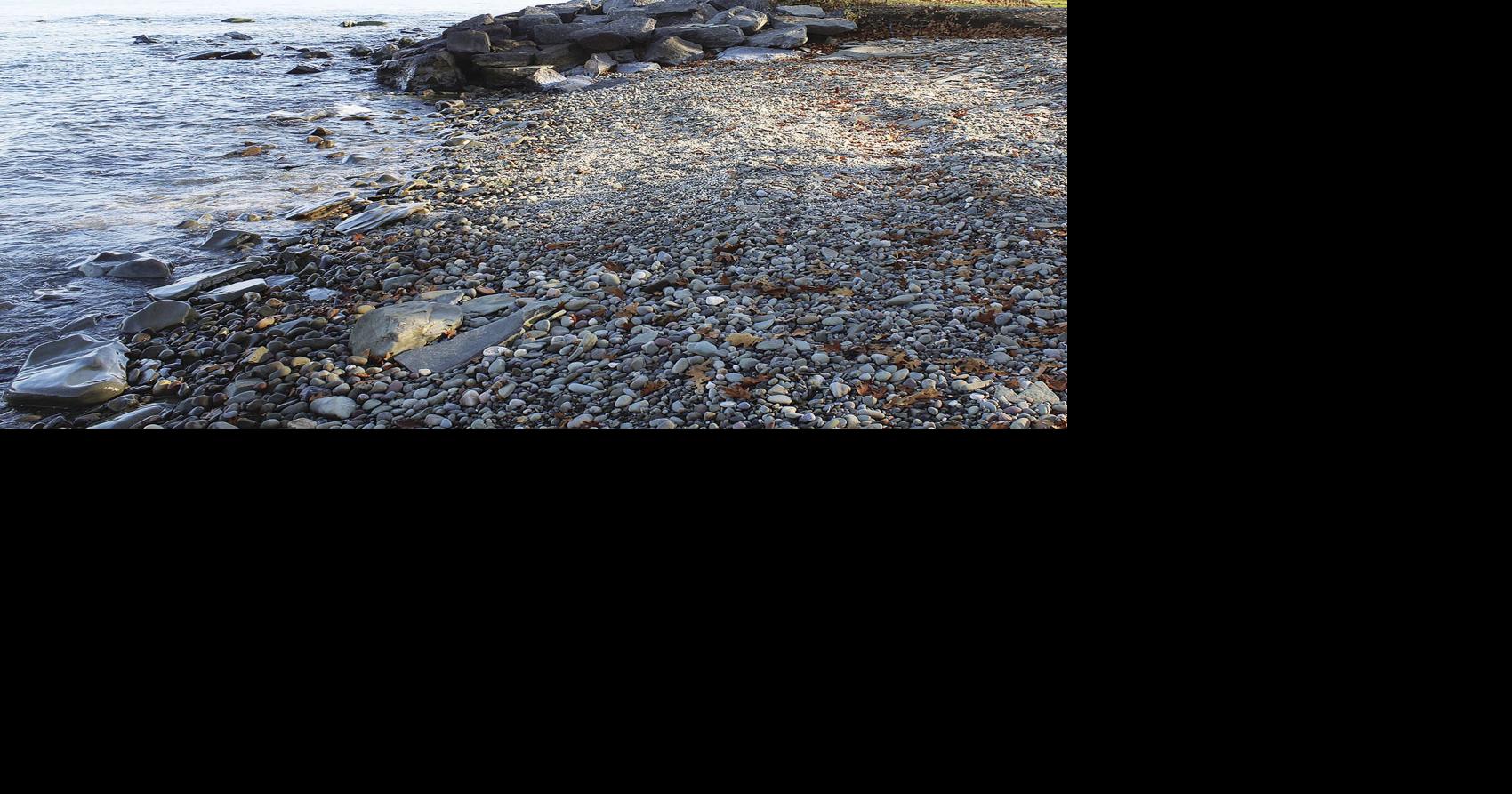 New York Sea Grant helps property owners with shoreline erosion | News ...