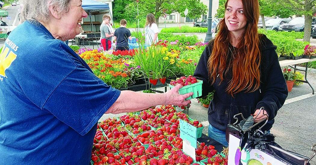 A ‘berry’ good first day at the farmers market | News ...