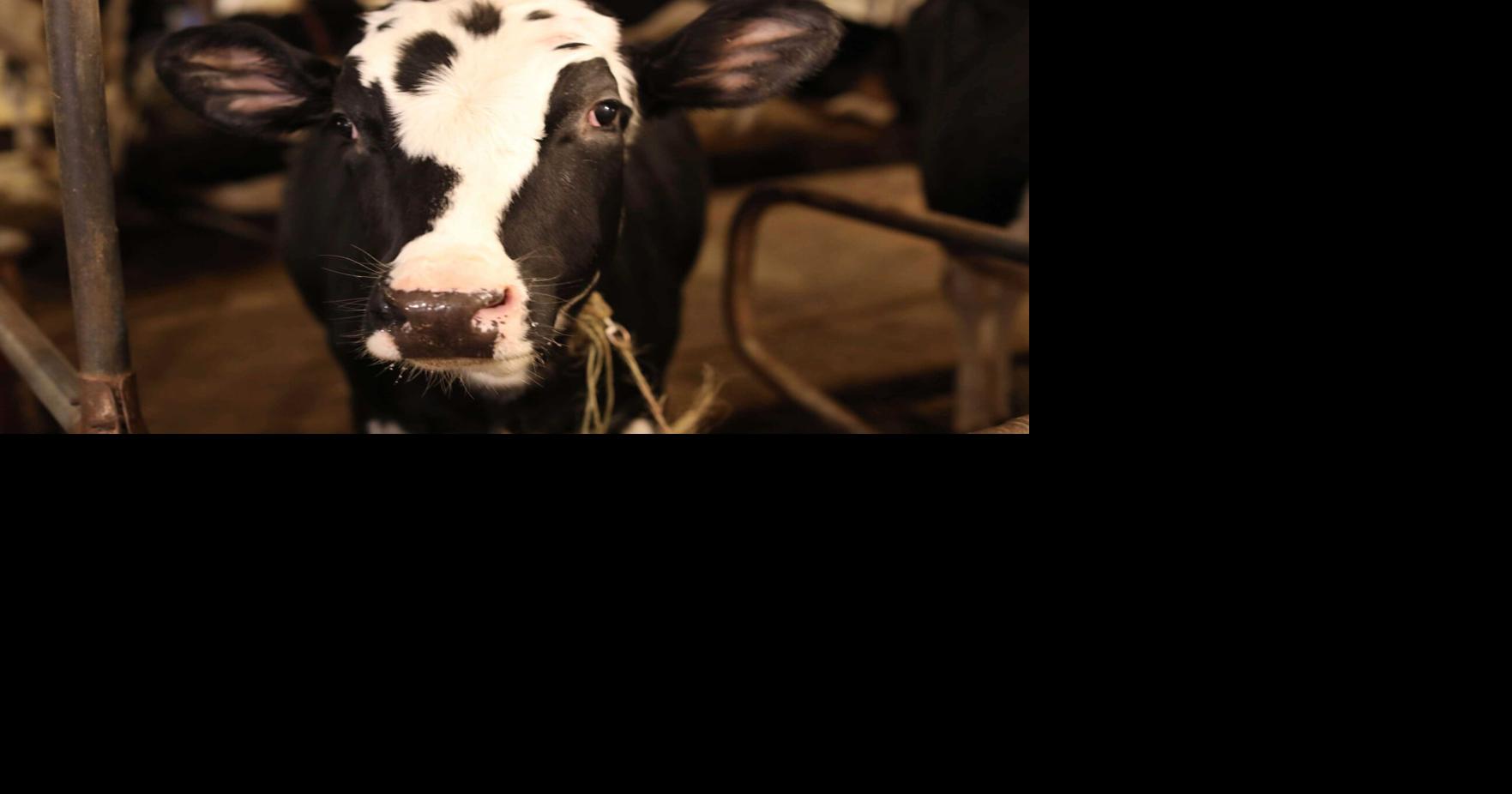 With community support, Bowering Family Farm rebuilds ...