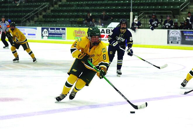 Lakers hockey teams win SUNYAC semis; hoops teams fall | Sports ...
