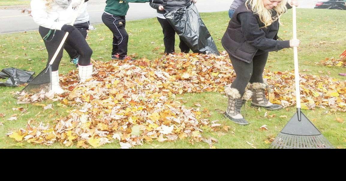 Laker student-athletes to rake leaves for senior citizens Oct. 25 ...