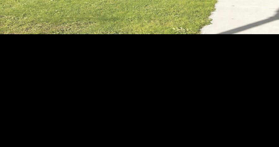 County plans Camp Zerbe renovations | News | oswegocountynewsnow.com