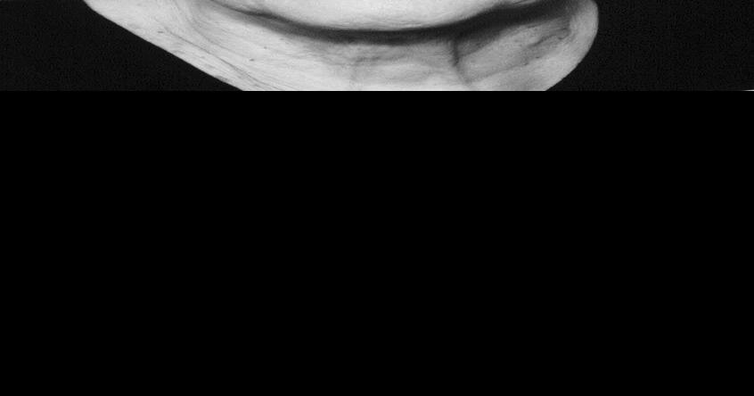 Lucille McCarthy Russell | Obituaries | oswegocountynewsnow.com