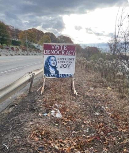 No stolen election, just stolen election signs | News ...