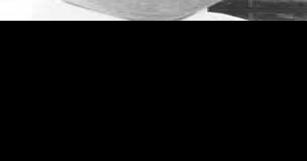 Losurdo graduates from Vancouver Film School | Local ...