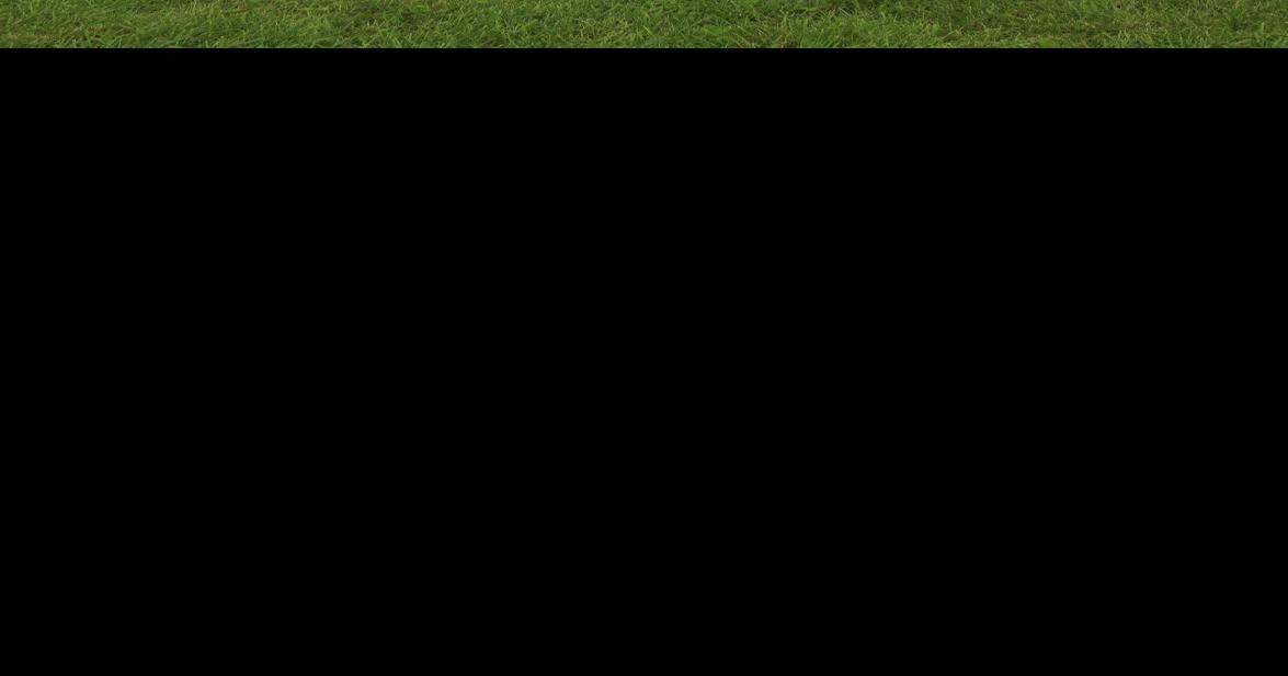 On to Glory: Oswego’s 147th Regiment at Gettysburg | News ...