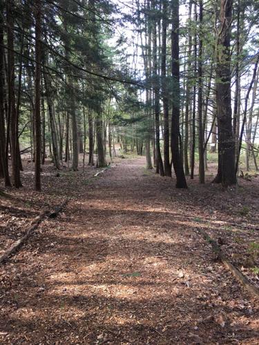 County shifts planned disc golf course to Camp Zerbe | News ...