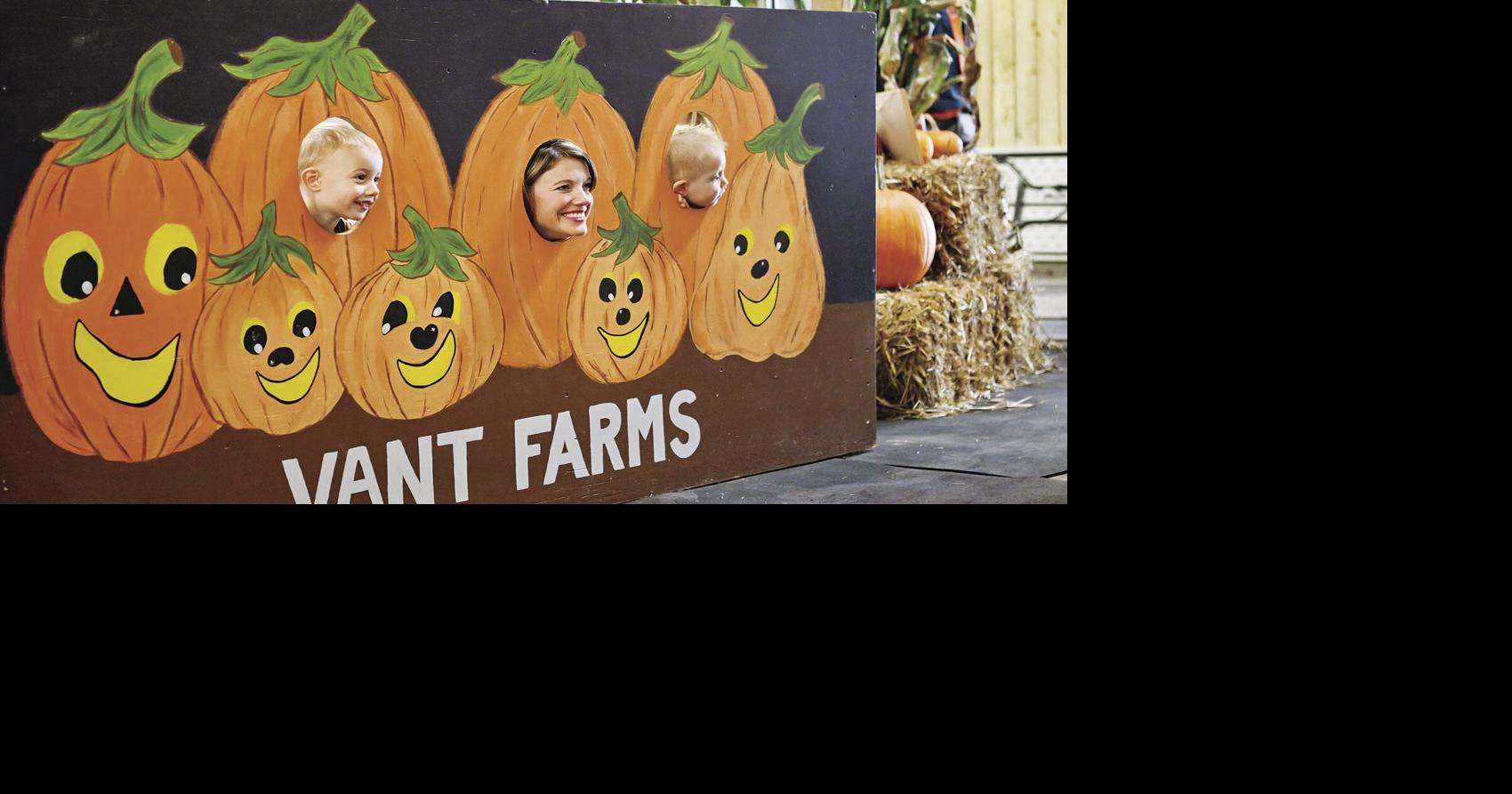 Fulton Fall Festival set for Saturday | Arts & Entertainment ...