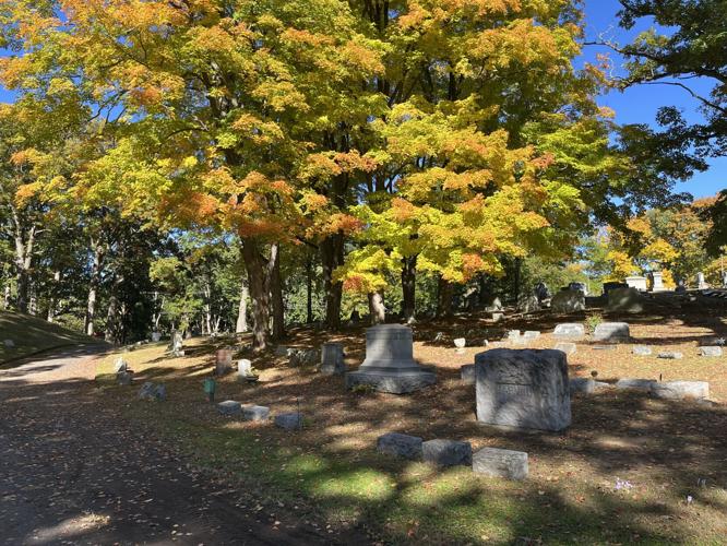 New book highlights the natural beauty of Mt. Adnah Cemetery | News ...
