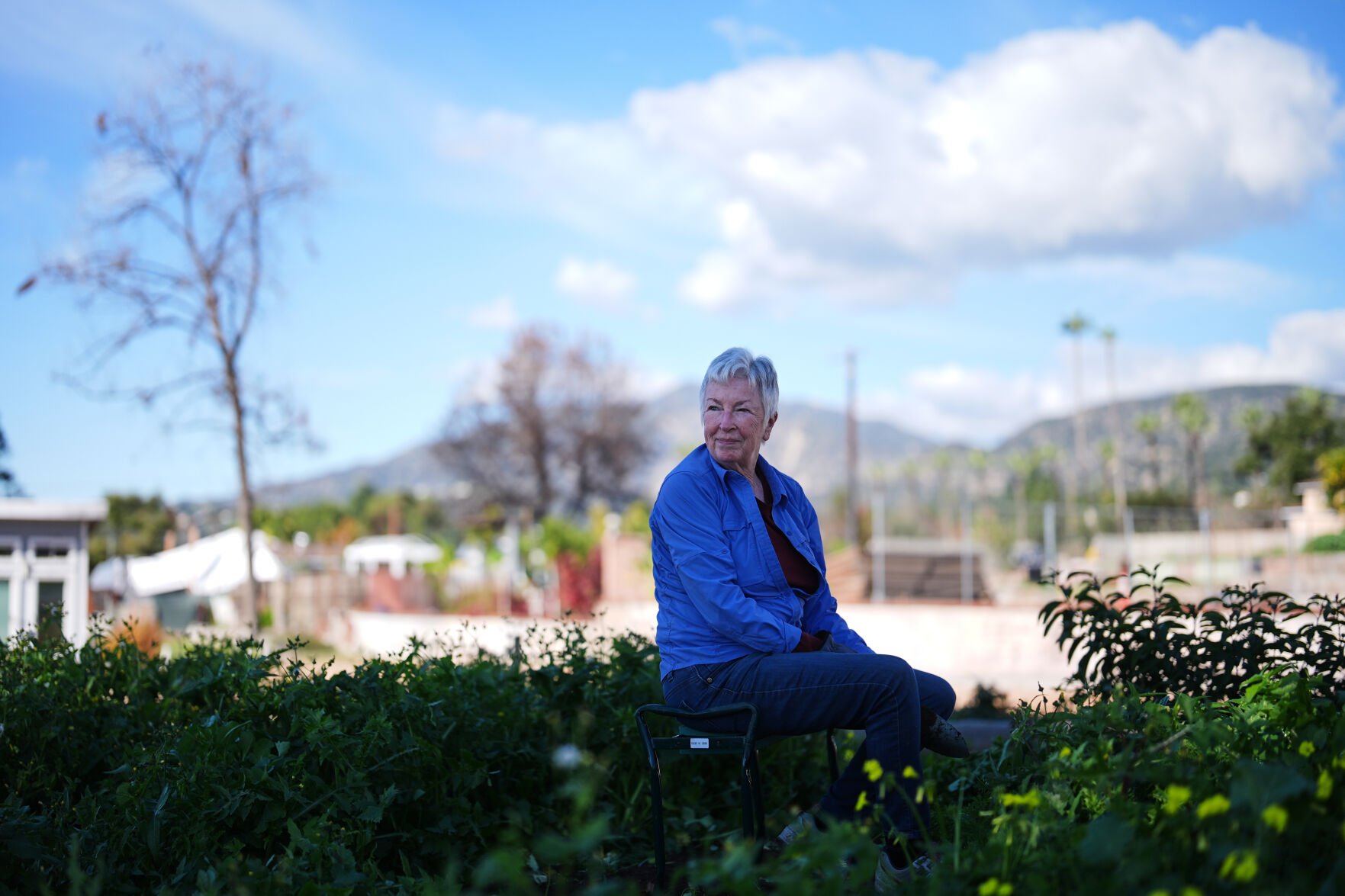 Los Angeles Wildfires Anniversary | | oswegocountynewsnow.com