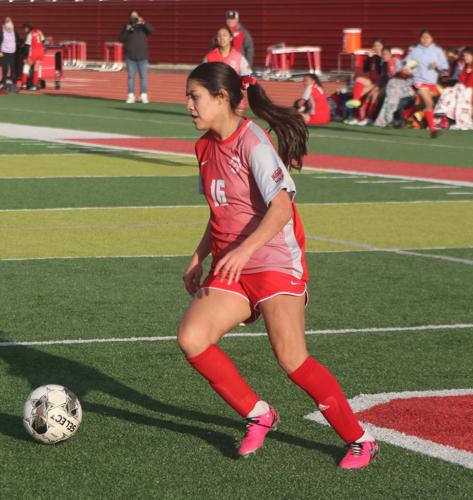 Prep soccer: Bulldogs net postseason honors | Sports | ottumwacourier.com