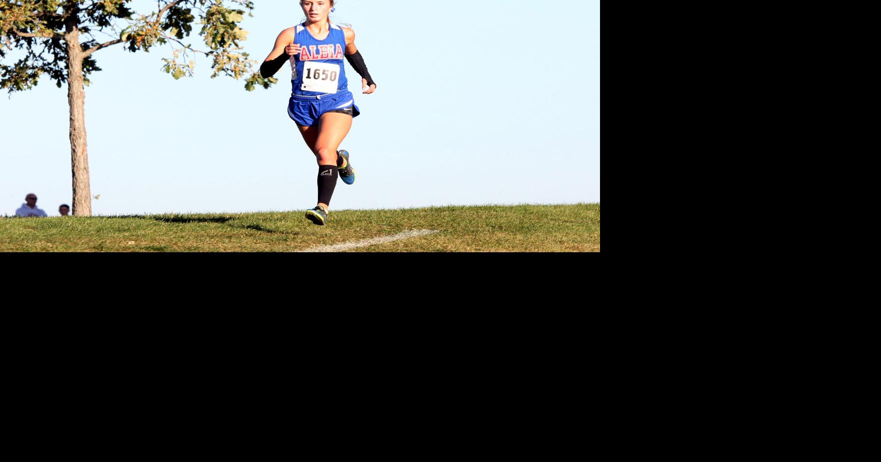 Albia's Winke, DC's Hougland win SCC cross-country titles | High School ...