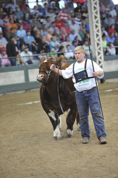 Colton Webb of Centerville wins at Iowa State Fair's 4-H Steer Show ...