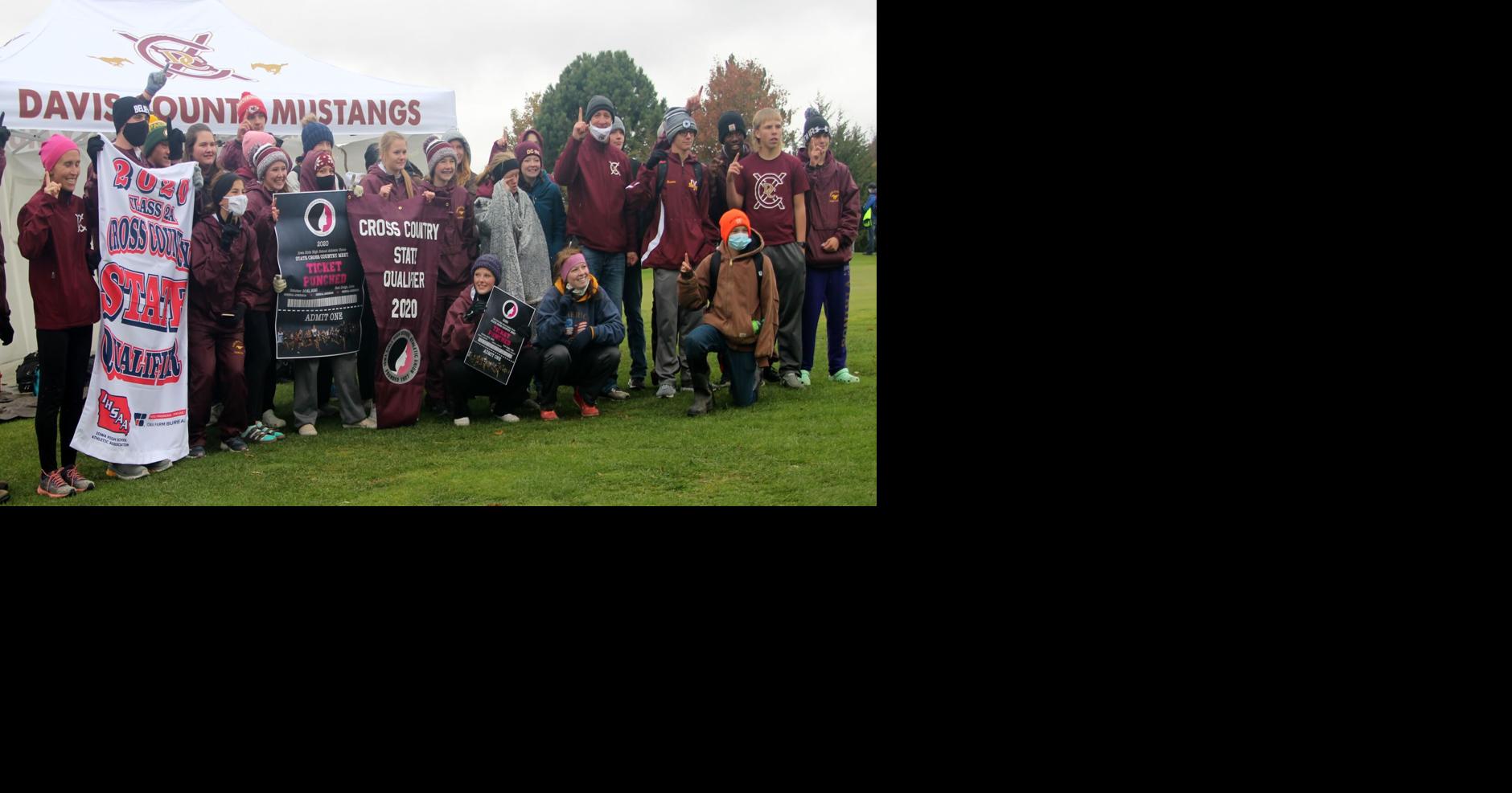 Prep cross-country: Mustangs make historic run to state | Sports ...