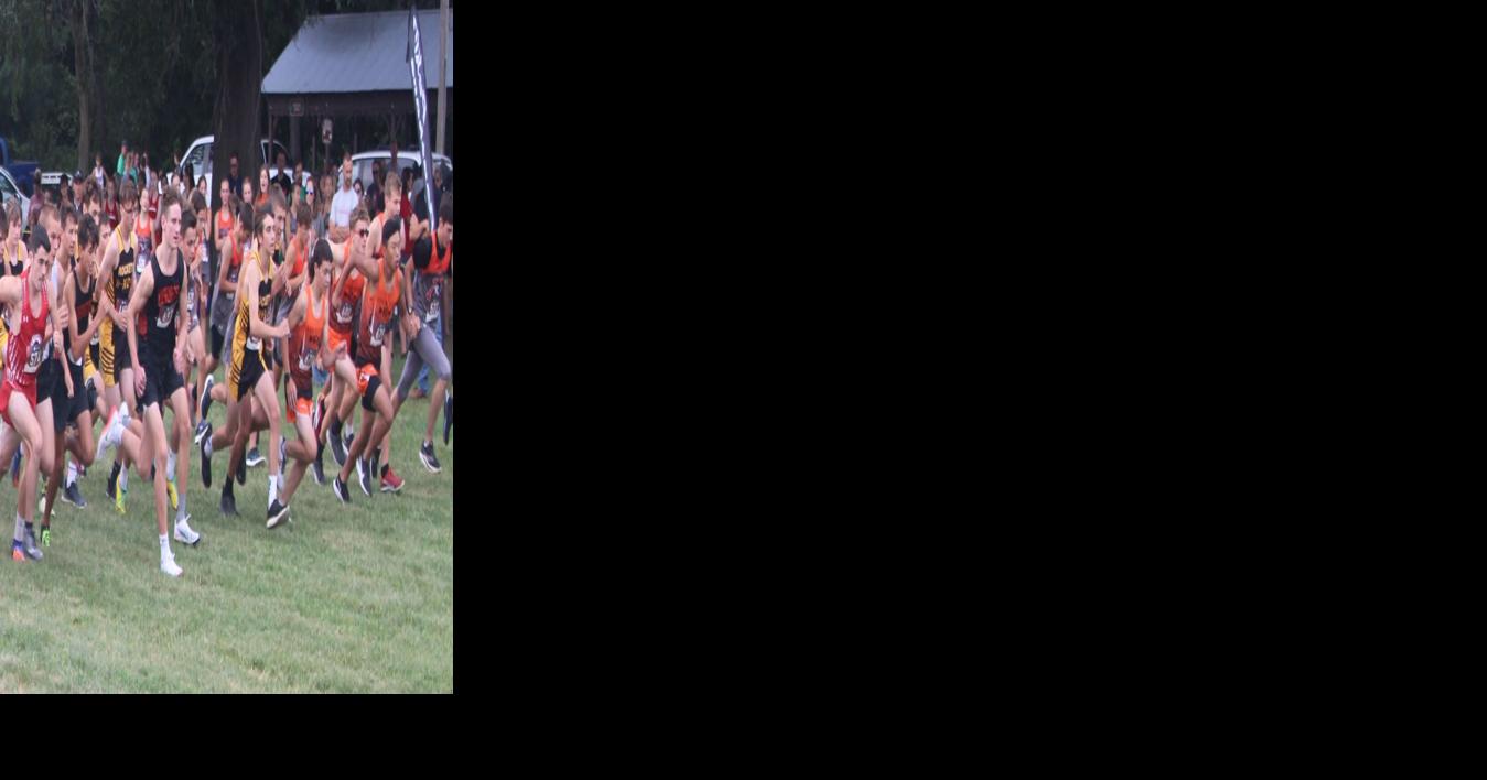 Men's cross-country: Area runners feast at Wildwood | Sports ...