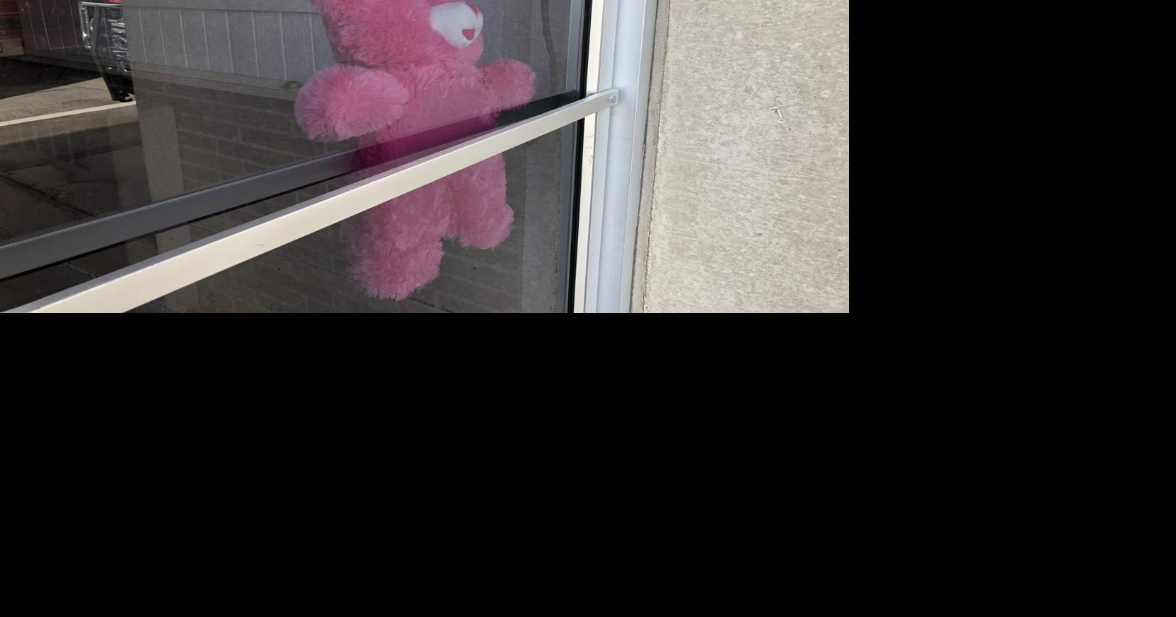 Bear Hunt movement spreads in neighborhoods | Local News ...