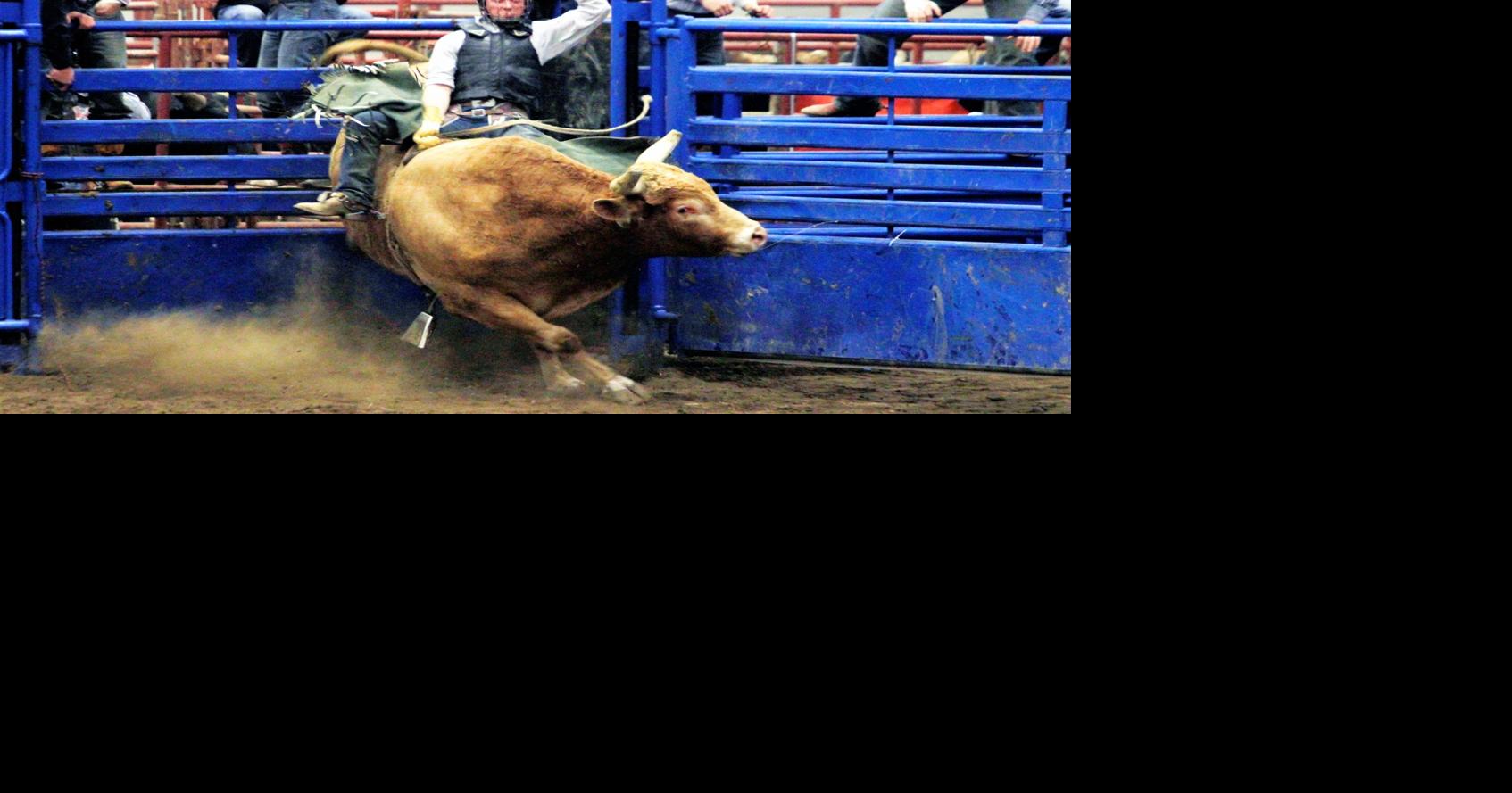 A wild ride with the Bull Riders of America | Local News ...