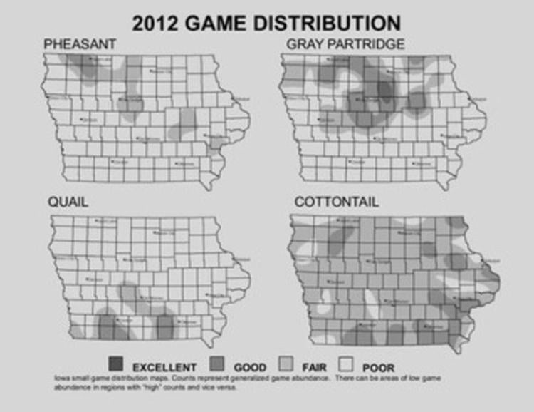Pheasant population outlook 'dismal' | Local News | ottumwacourier.com