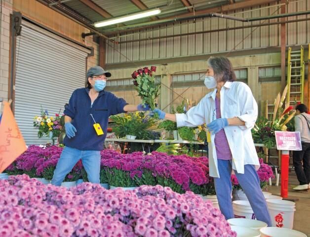 ‘Caterpillar’ Float Undergoes Camera-Ready Transformation | News ...