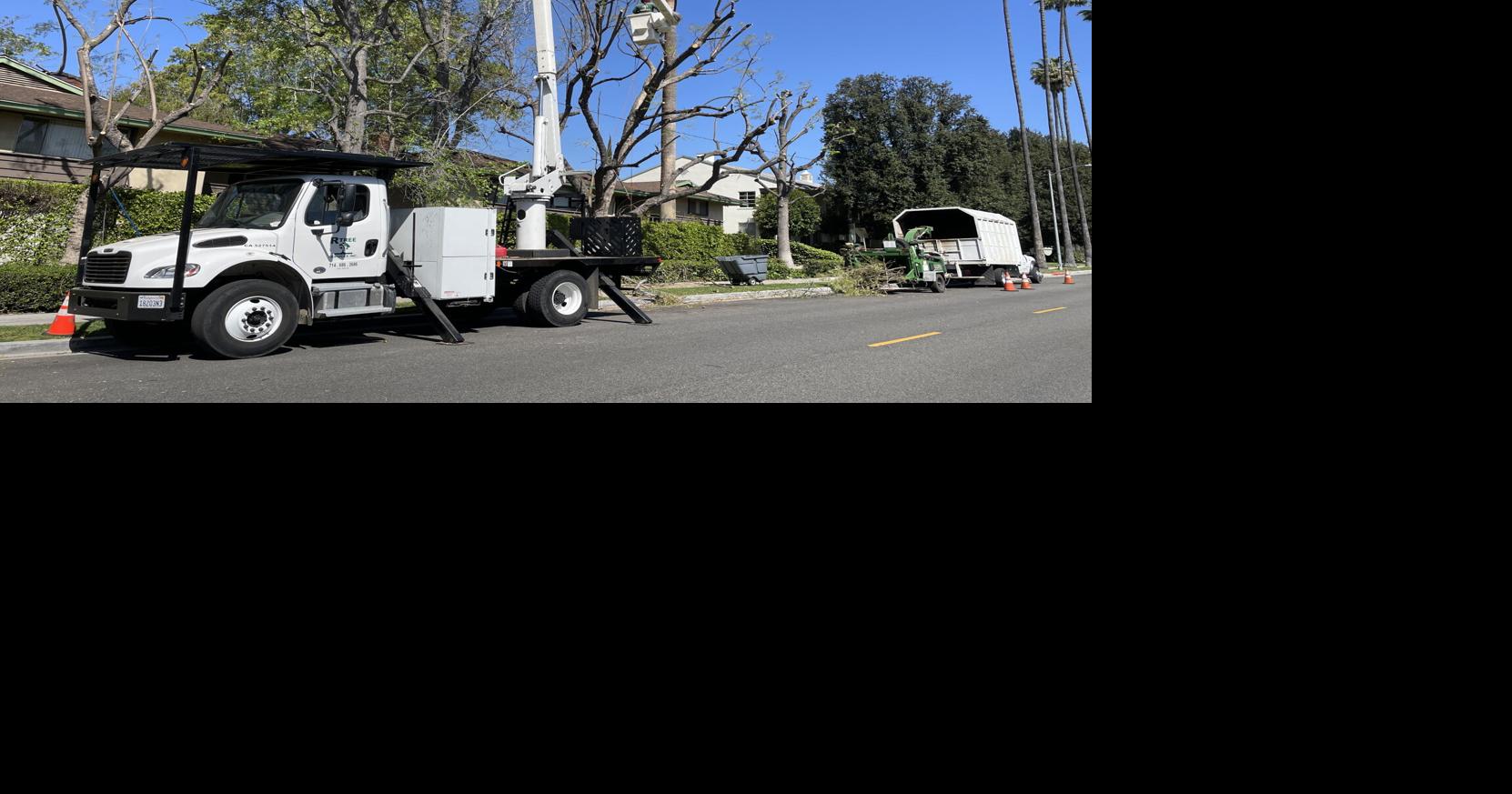 Tree Removal Resumes at Garden Home Apartments | Glendale News Press ...