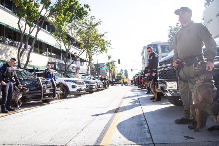 Hundreds Come to Honor Fallen Burbank Police Dog | Burbank Leader ...