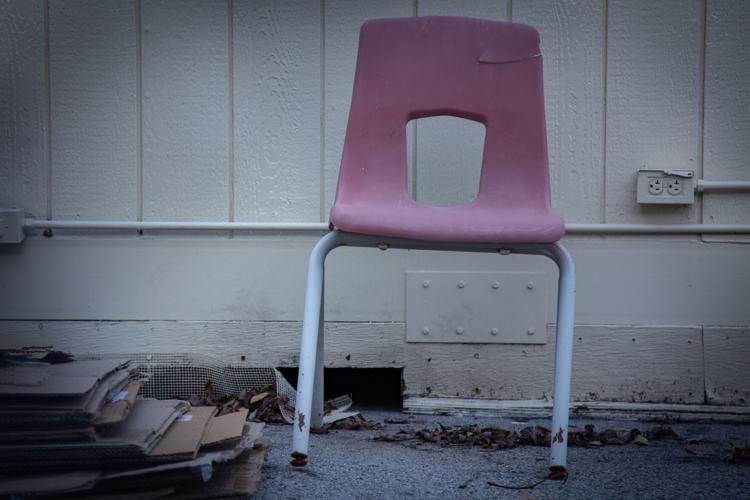 Are Rats an Issue at Burroughs? Some Say Yes | Burbank Leader ...