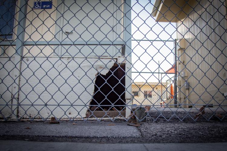 Are Rats an Issue at Burroughs? Some Say Yes | Burbank Leader ...