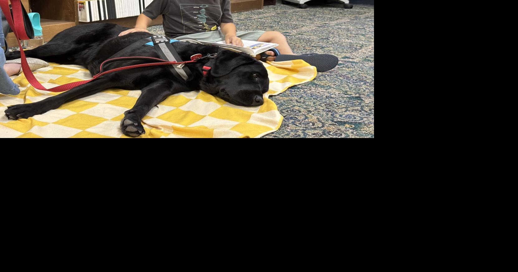Paws for a Good Book: Therapy Dog Helps Young Readers Find Their Voices ...