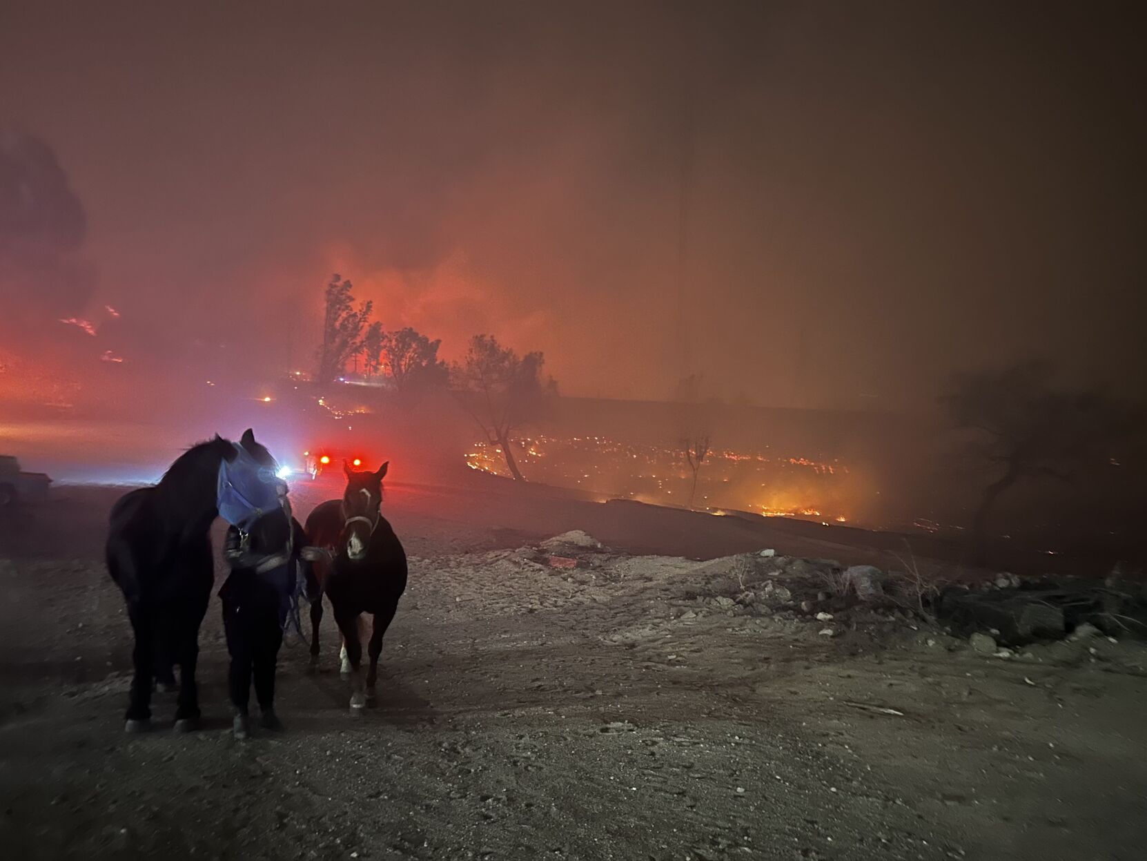 Woman Loses Home and Stables in Fire, Saves 39 Horses | News ...