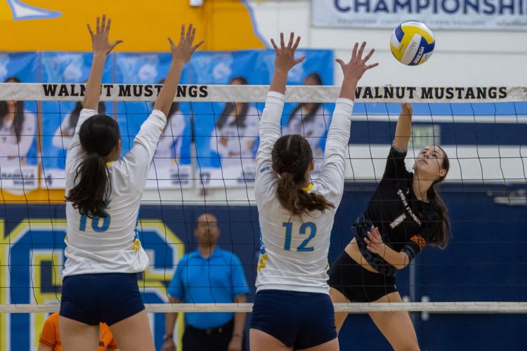 Girls' Volleyball: Tigers Claw Back to Win State Regional Title ...