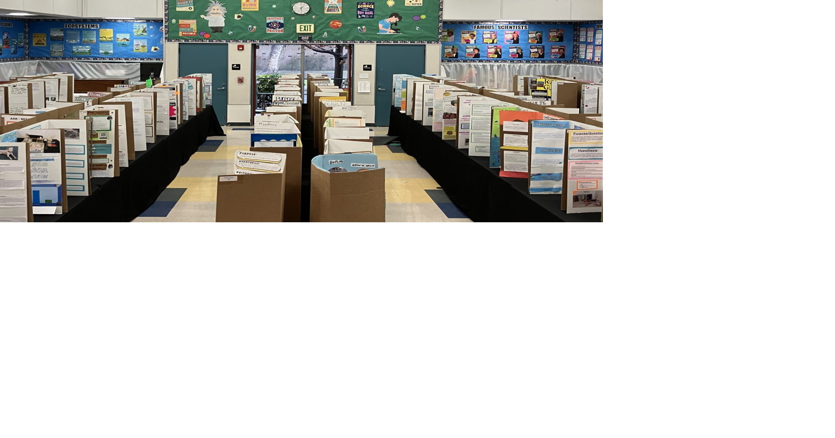 Walt Disney Elementary Hosts Science Fair | News | outlooknewspapers.com