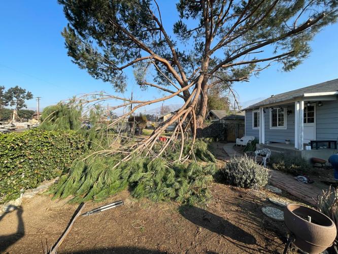 FEMA, Volunteers Rally to Help Fire Victims at LCF Library | La Cañada ...