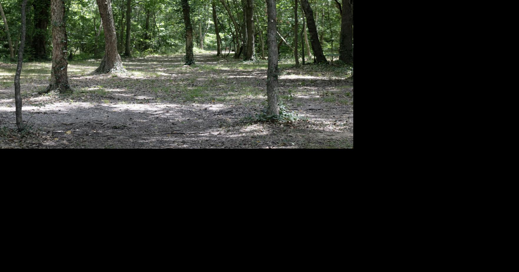 March's Considerate and Kind Paducah campaign focuses on trees | News ...