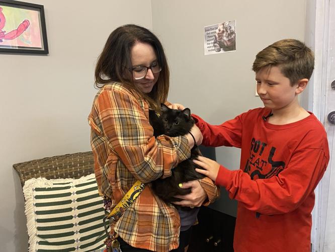 Former Meows of Hope cat finds forever home | News | paducahsun.com