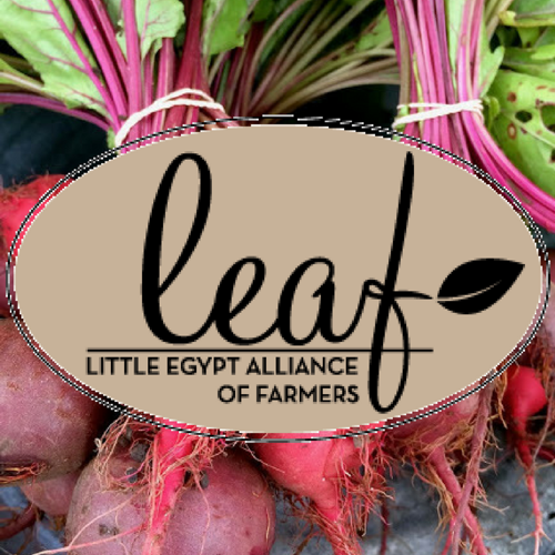 LEAF Food Hub strengthens local food connections across Southern ...